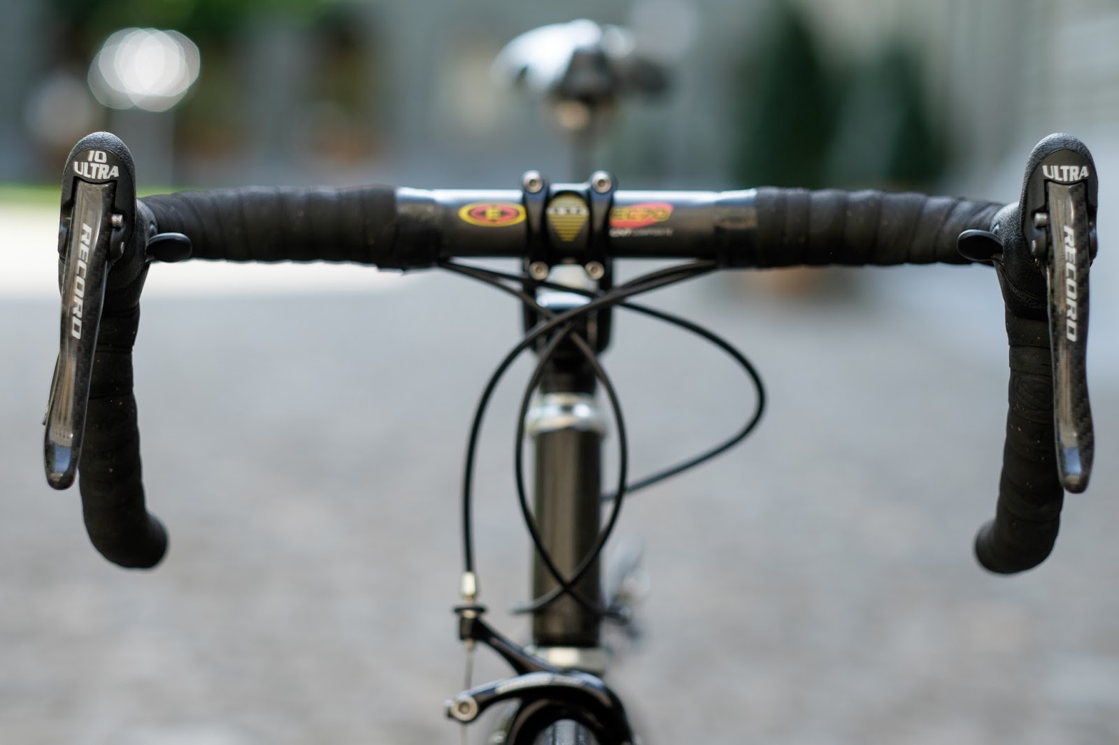 Zuwachs im Zoo: Corima Fox