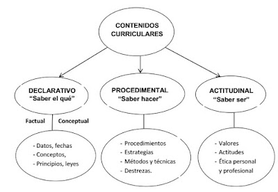 Importancia de Seleccionar Adecuadamente los Contenidos Declarativos ...
