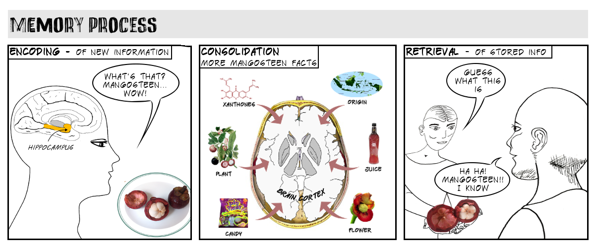Psychiatry and Society in Pune: Forgetfulness and Memory Loss at Work