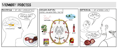 Psychiatry and Society in Pune: Forgetfulness and Memory Loss at Work