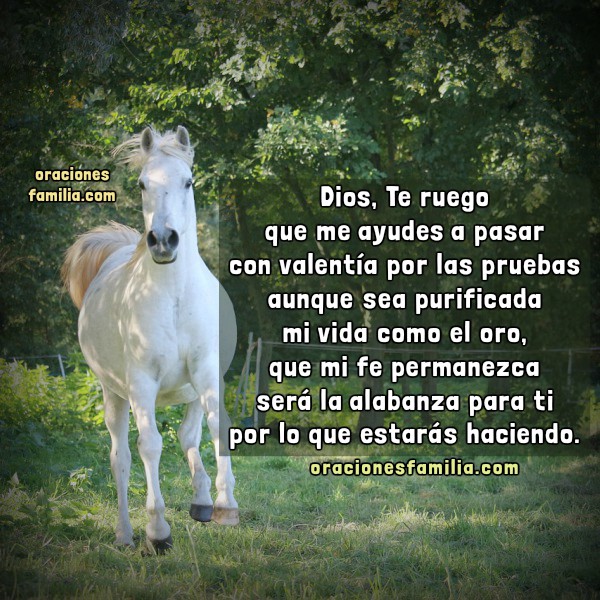 Oración Dios, te ruego que me ayudes en mi problema