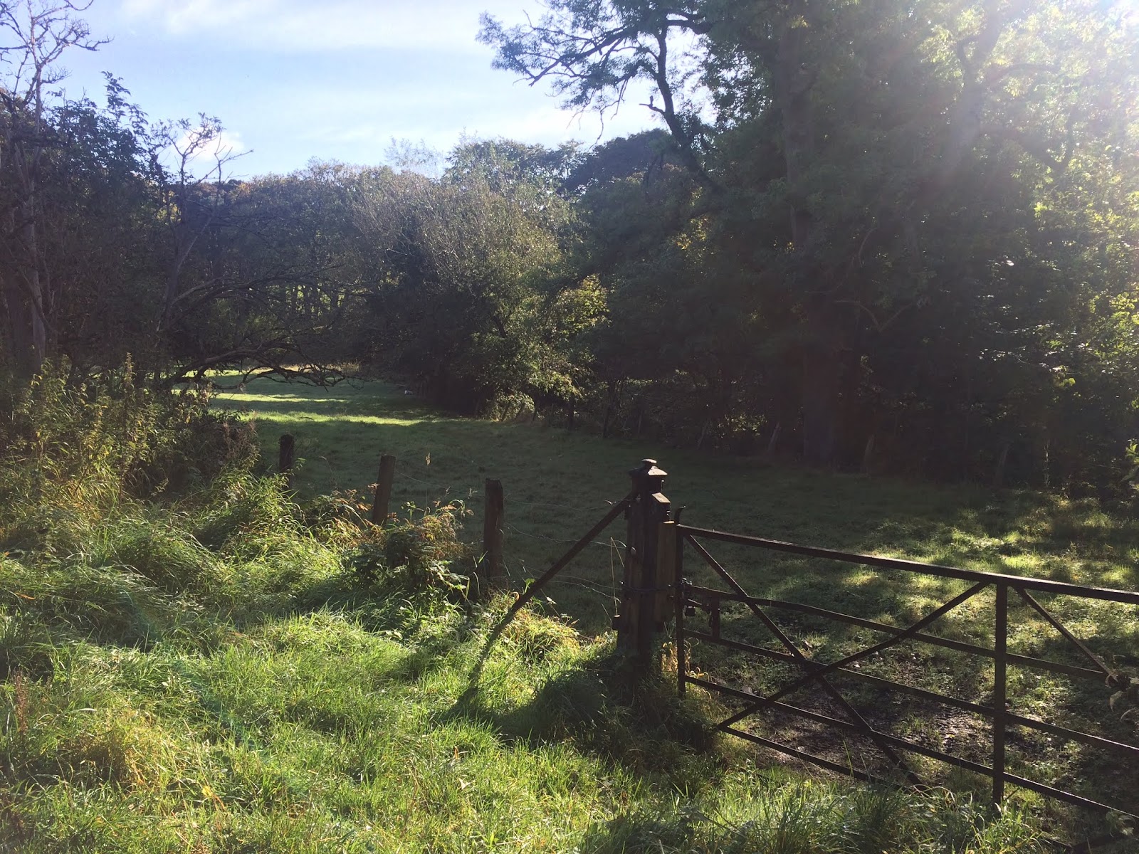 Water of Leith Walkway: Balerno to Edinburgh