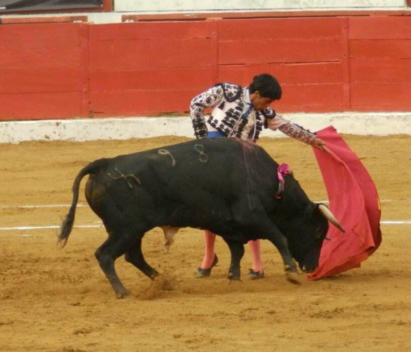 PERÚ TOROS: EL NOVILLERO PERUANO ENRIQUE DÍAZ CORTÓ UNA OREJA EN MARACAIBO