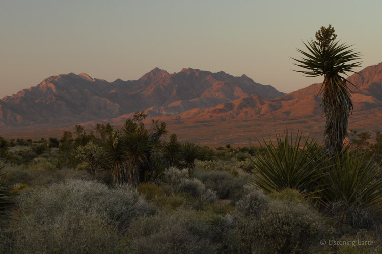 Mojave Soundscape