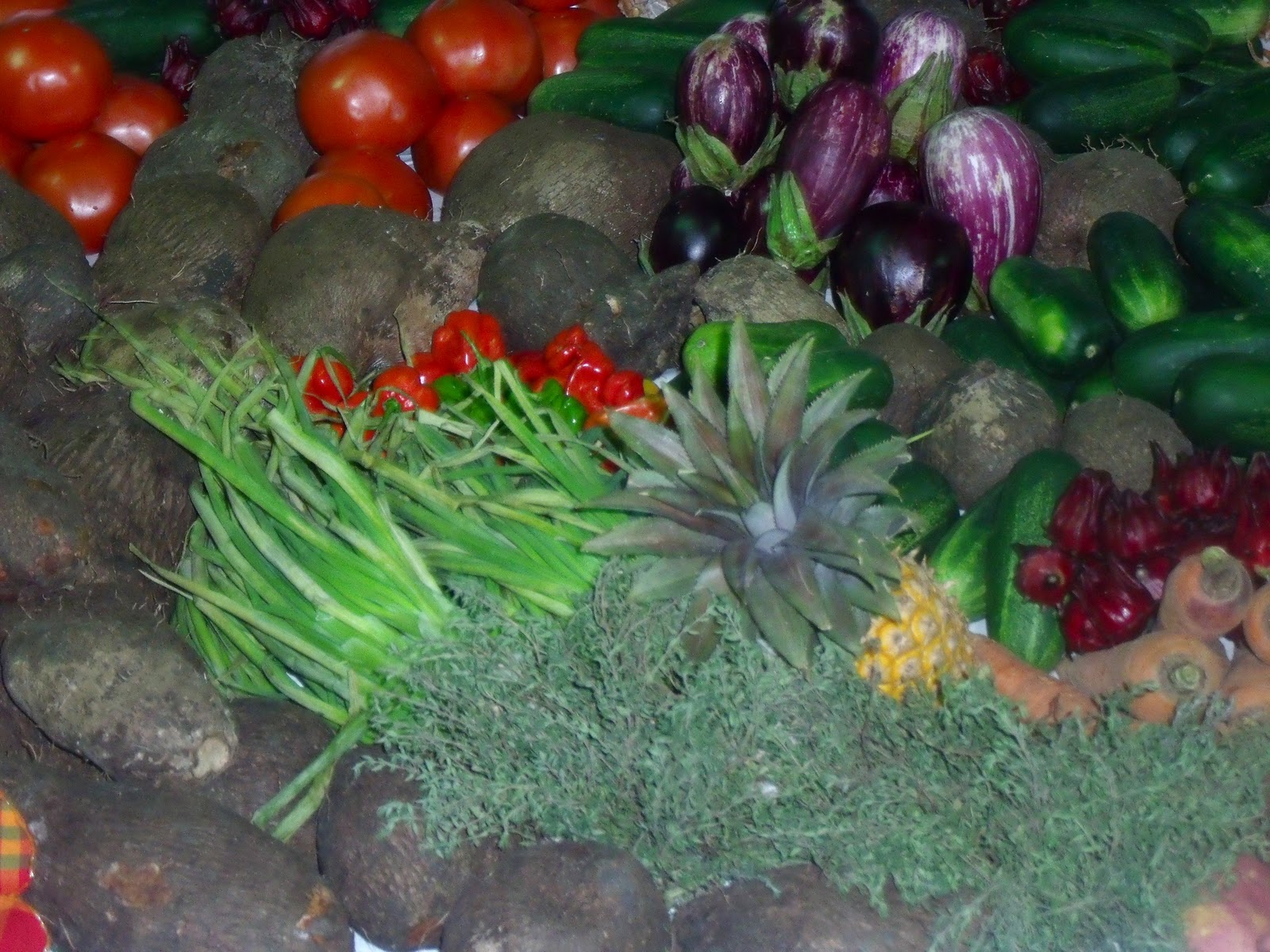 Here We Grow: St. Croix Agrifest