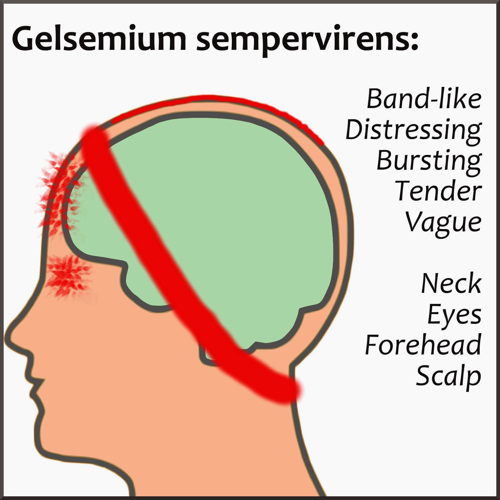 9 Homeopathic Remedies for 9 Common Headaches