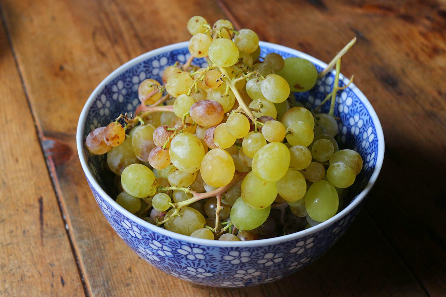 66 Square Feet (Plus): My favourite (fruit) things