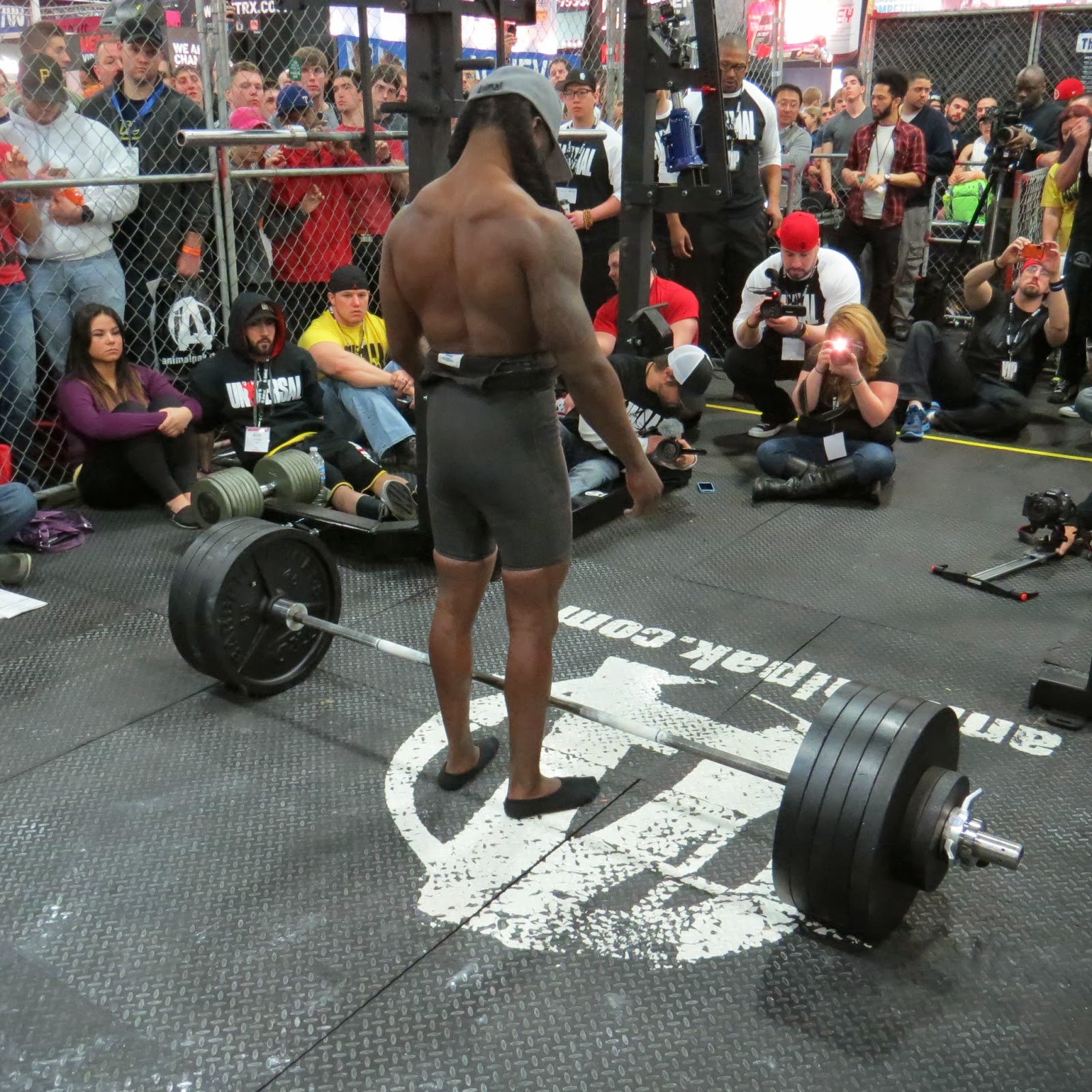 The Ant! Animal Pak Athlete. Pound for pound, one of the strongest guys ...