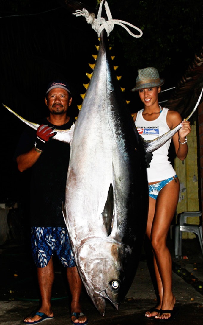 Puerto Vallarta Pesca : Pesca De Atun Aleta Amarilla