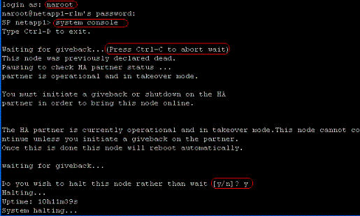 Network Appliance Checking Netapp Filer After A Panic