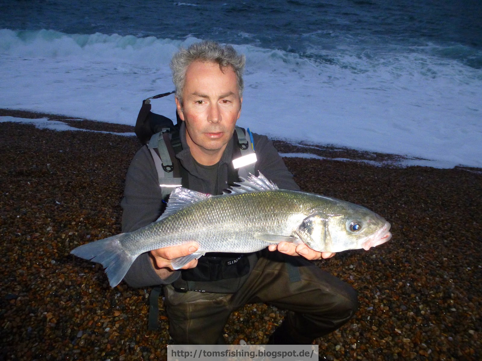 Toms Fishing Blog: Dorset Silver.......