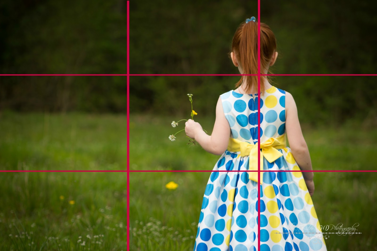 Photographing Like A Professional with Ashley Gessler SHD: What Is This ...