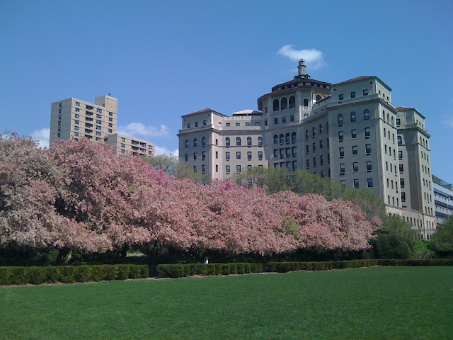 Edge of the City: Spring Scenes