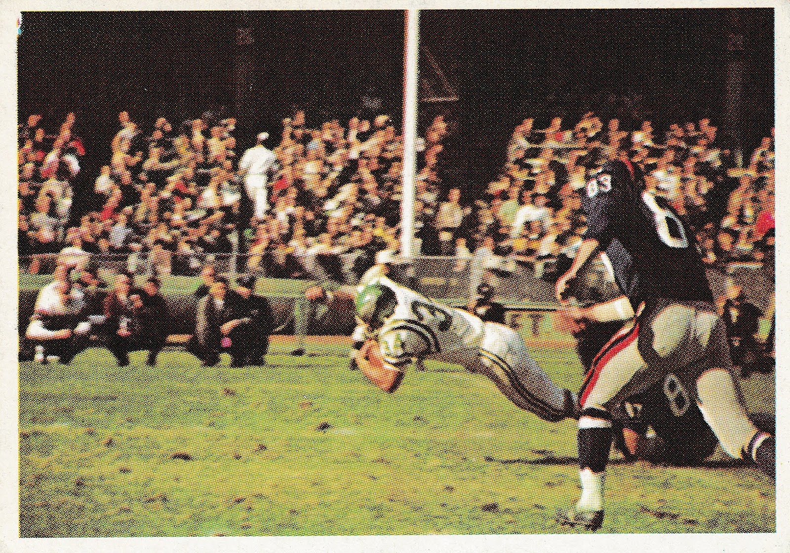 Eagles' Football (1966-75): 2019