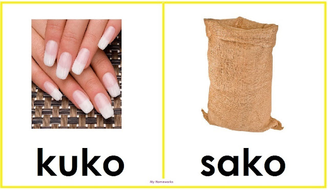 My Homeworks: MAGKASINGTUNOG NA SALITA KUKO- SAKO