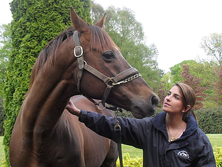 Horseturfpro: Interview: Harriet Loder (Loderi Racing)