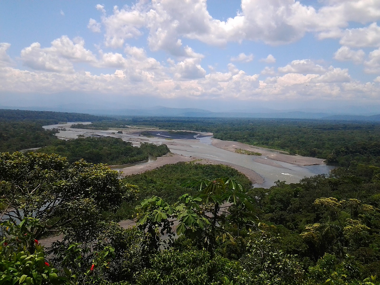 Amazonía ecuatoriana, en el corazón de la selva ~ Make Ecuador