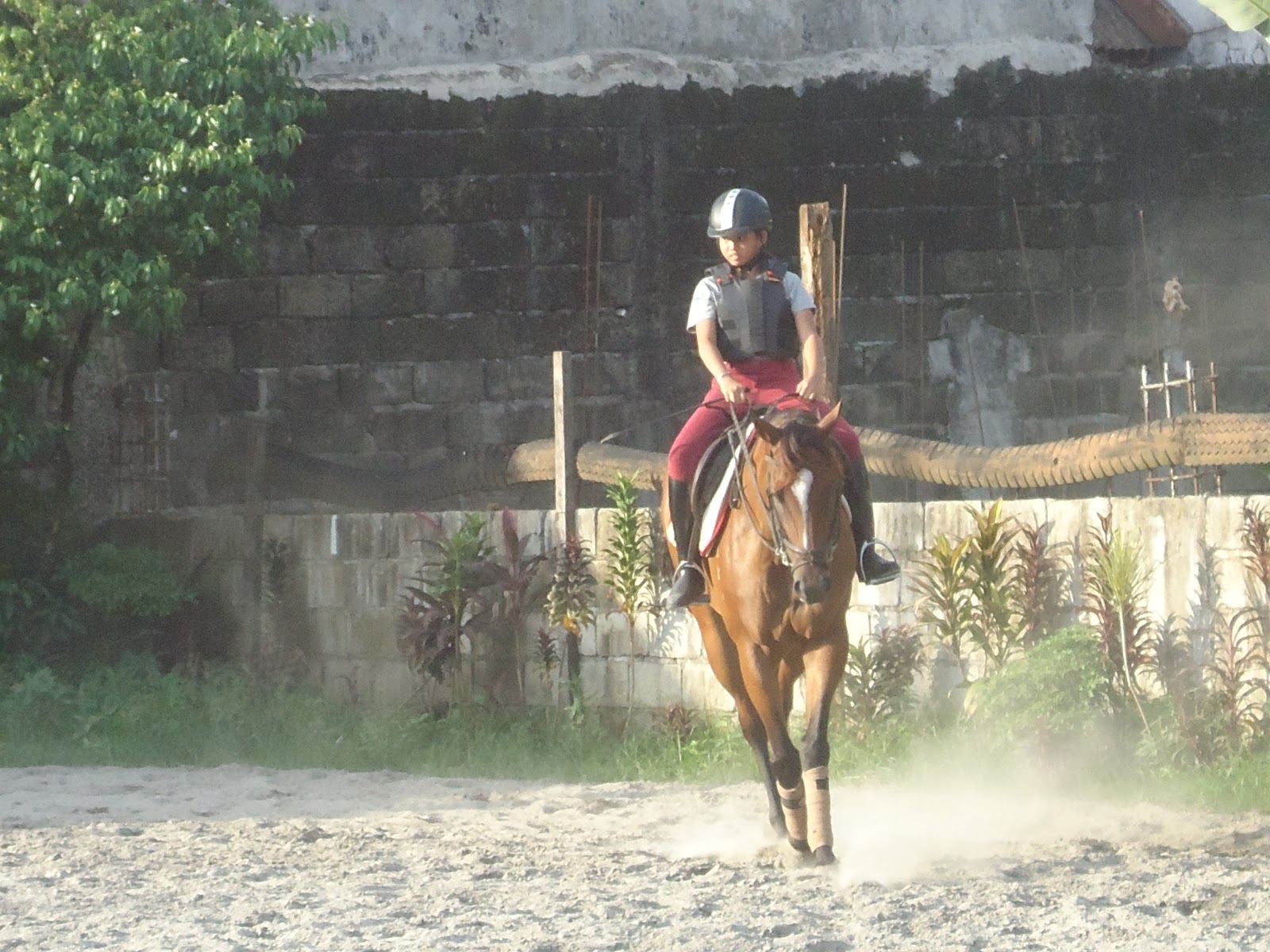 Horse Riding Philippines: 2012