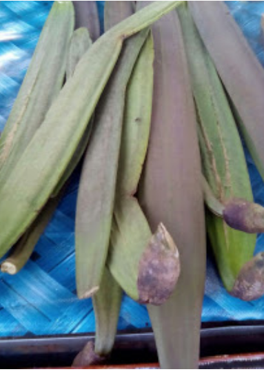 namakucella: BUAH BEKA- CARA PROSES