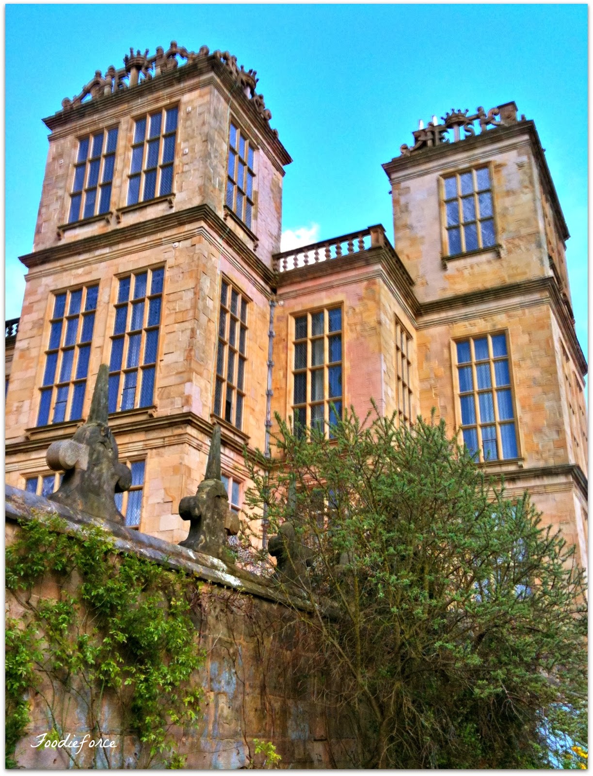 Foodie Force: Hardwick Hall