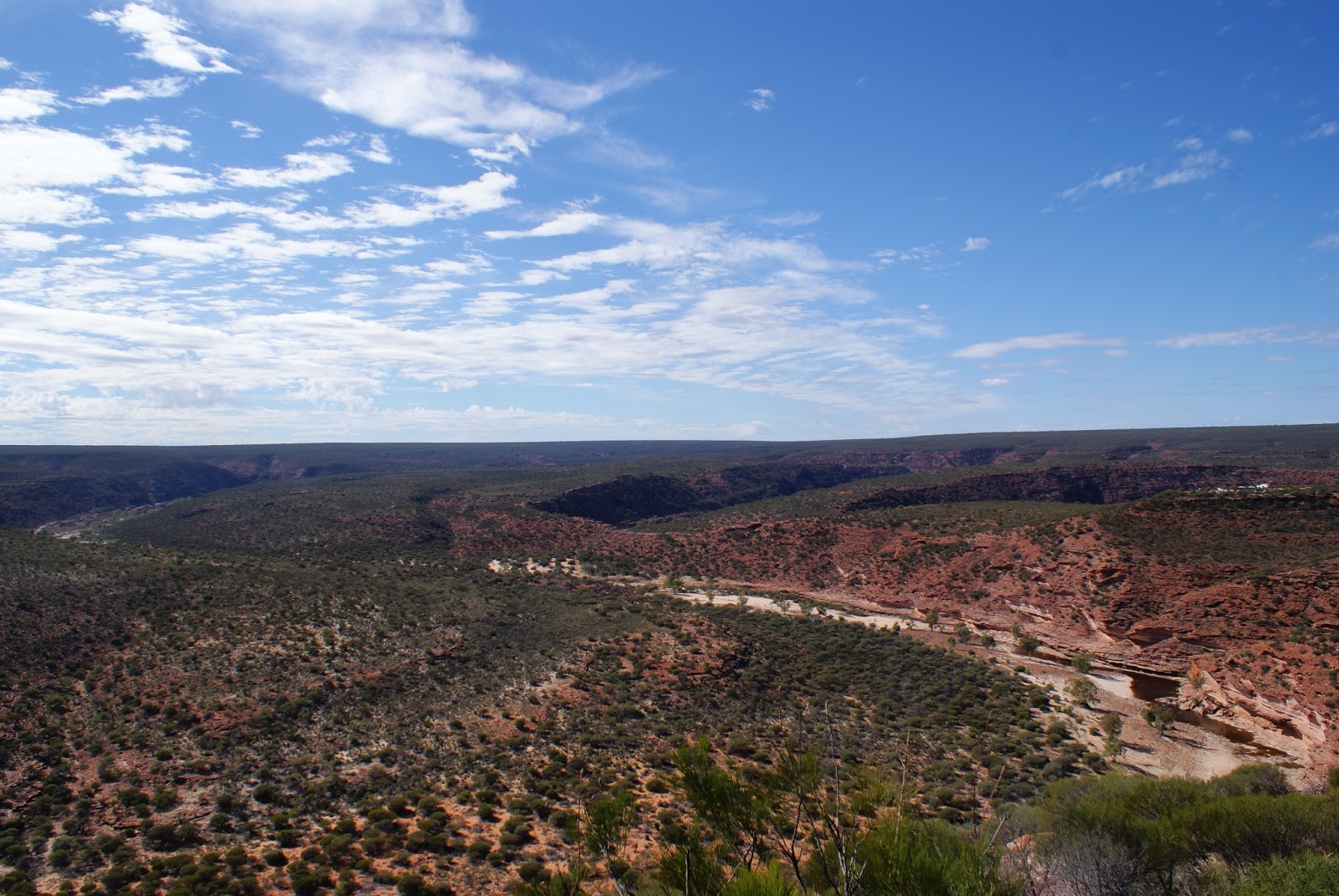 Amelia the explorer: Kalbarri, Western Australia