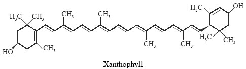 Comprising of C, H, and O only: A wide spectrum of plant constituents ...