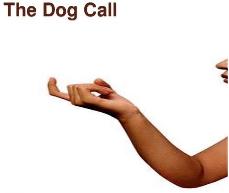 Dirty Dancing Analysis: Johnny gestures the "dog call" to Baby three times