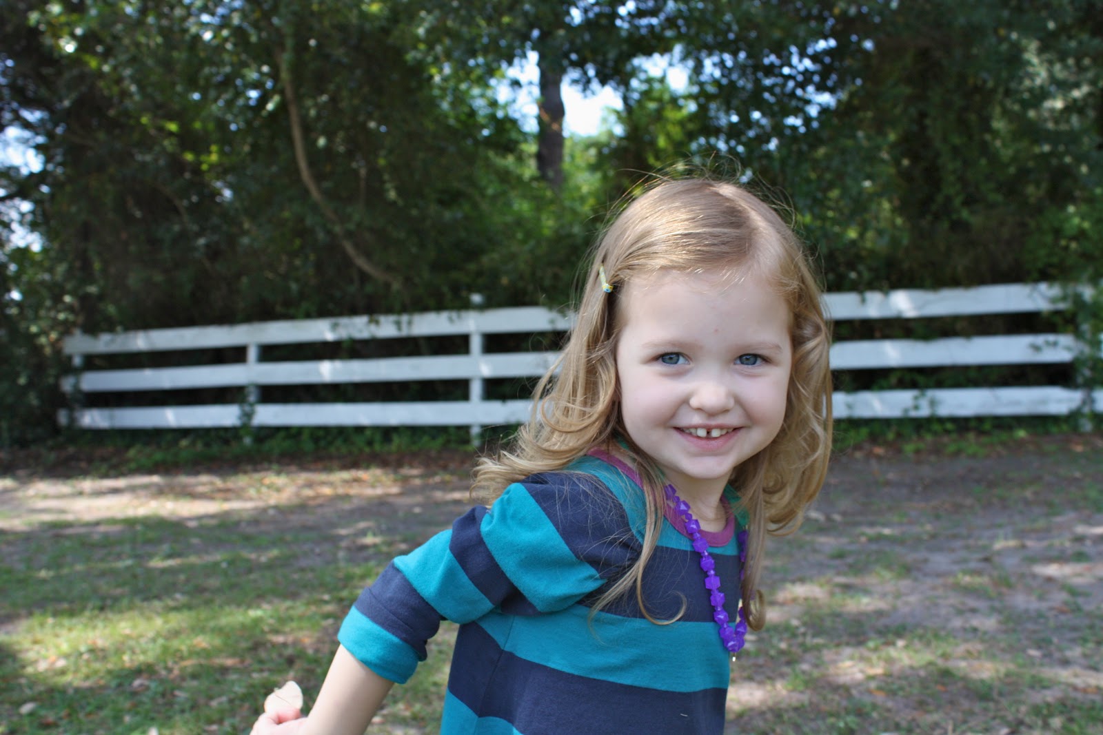 Lilly & Fletcher For Tea Collection - Look Linger Love Look Linger Love