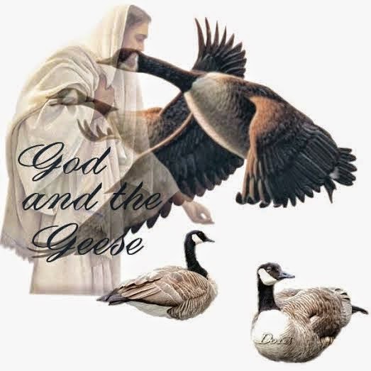 Hale and Hardy: God and the Geese
