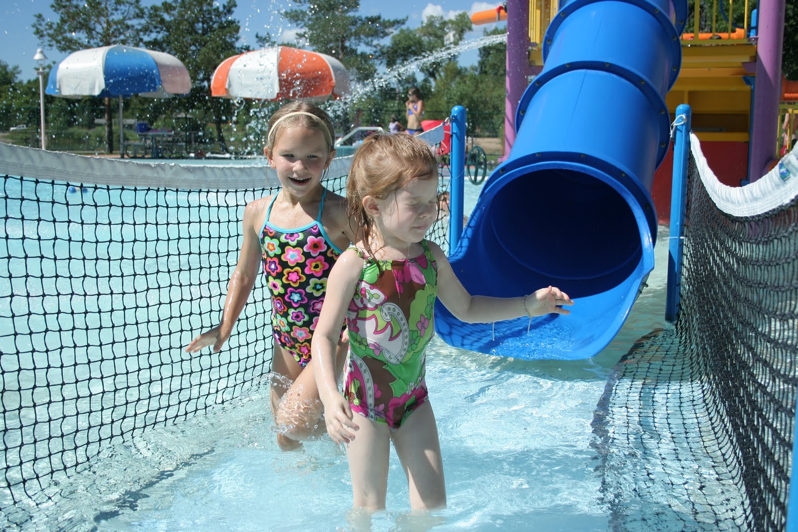 The Schrag Blog: Pool Time with Cousins.