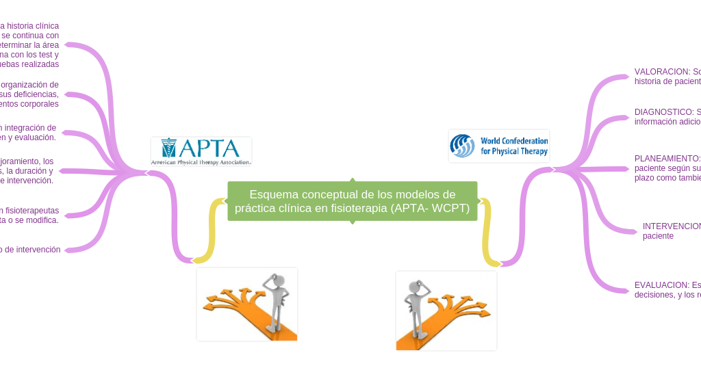 Rosa Angélica Fisiomundo Práctica Clínica En Fisioterapia Apta Wcpt