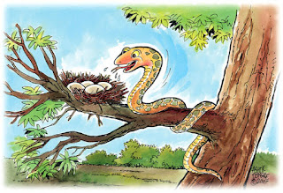 CROW AND SNAKE | MORAL STORY | The Crow And The Snake Moral Story ...