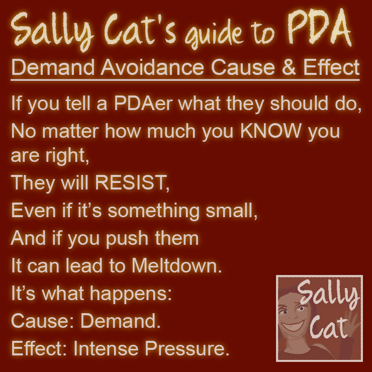 Sally Cat PDA: Memes About Demand Avoidance