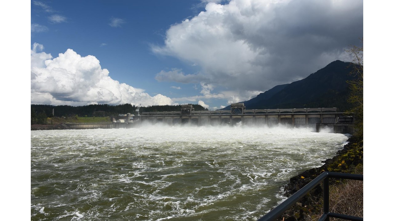 Wandering Environmentalist: Bonneville Dam and Powerhouse (a long post ...