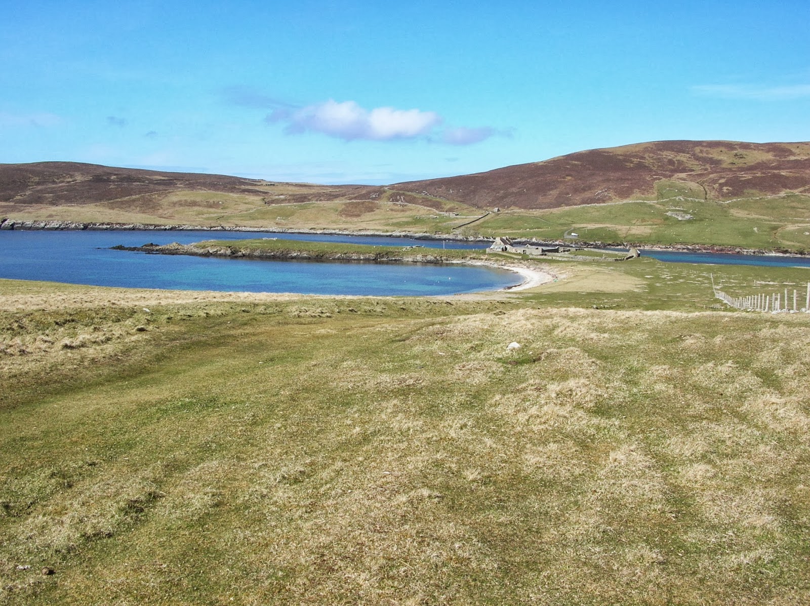 A lifetime of Islands: Island 203 - Noss, Shetland