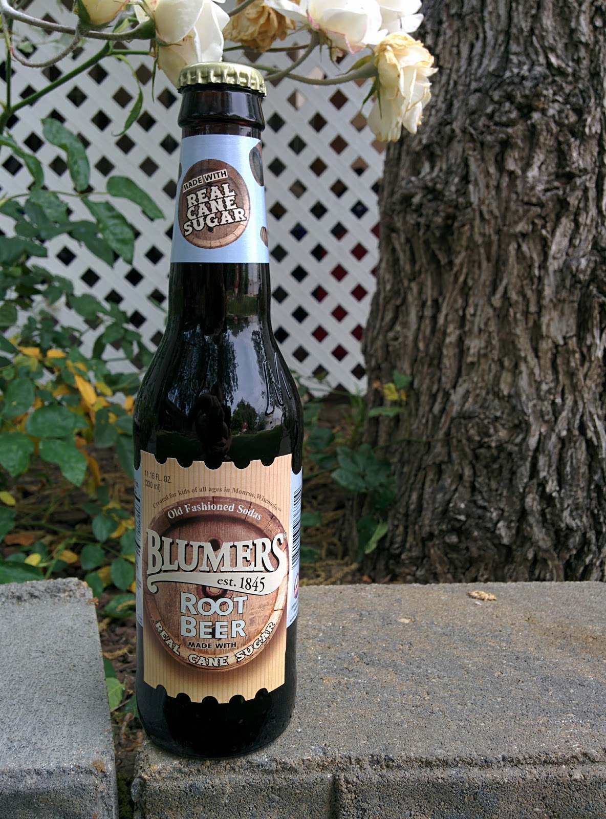 Kyle's Root Beer Galacticus: Blumers root beer