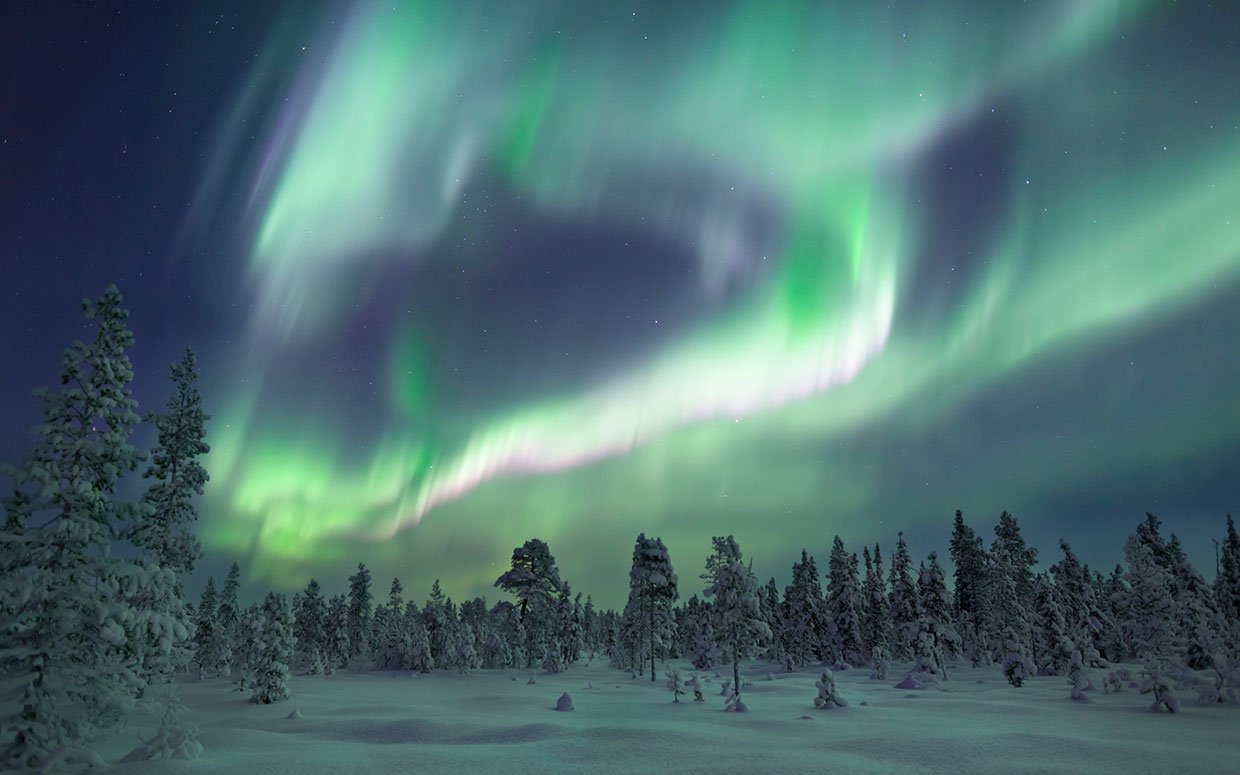 EKOGEO: ARTROPODA : HEWAN DENGAN KAKI BERUAS-RUAS