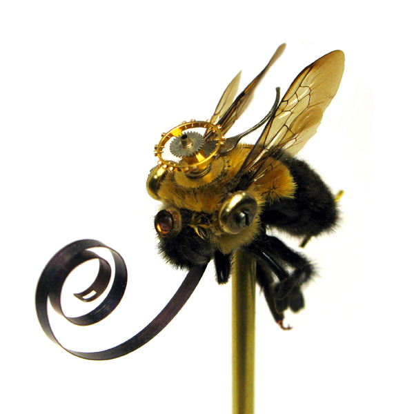 Mind Blowing Mechanical Insects By AMechanicalMind