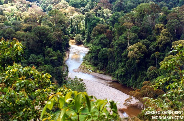 Travelblog Borneo-Lithuania