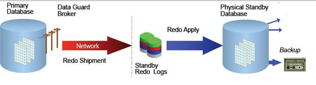 Oracle DBA: Dataguard - Oracle 11g R2
