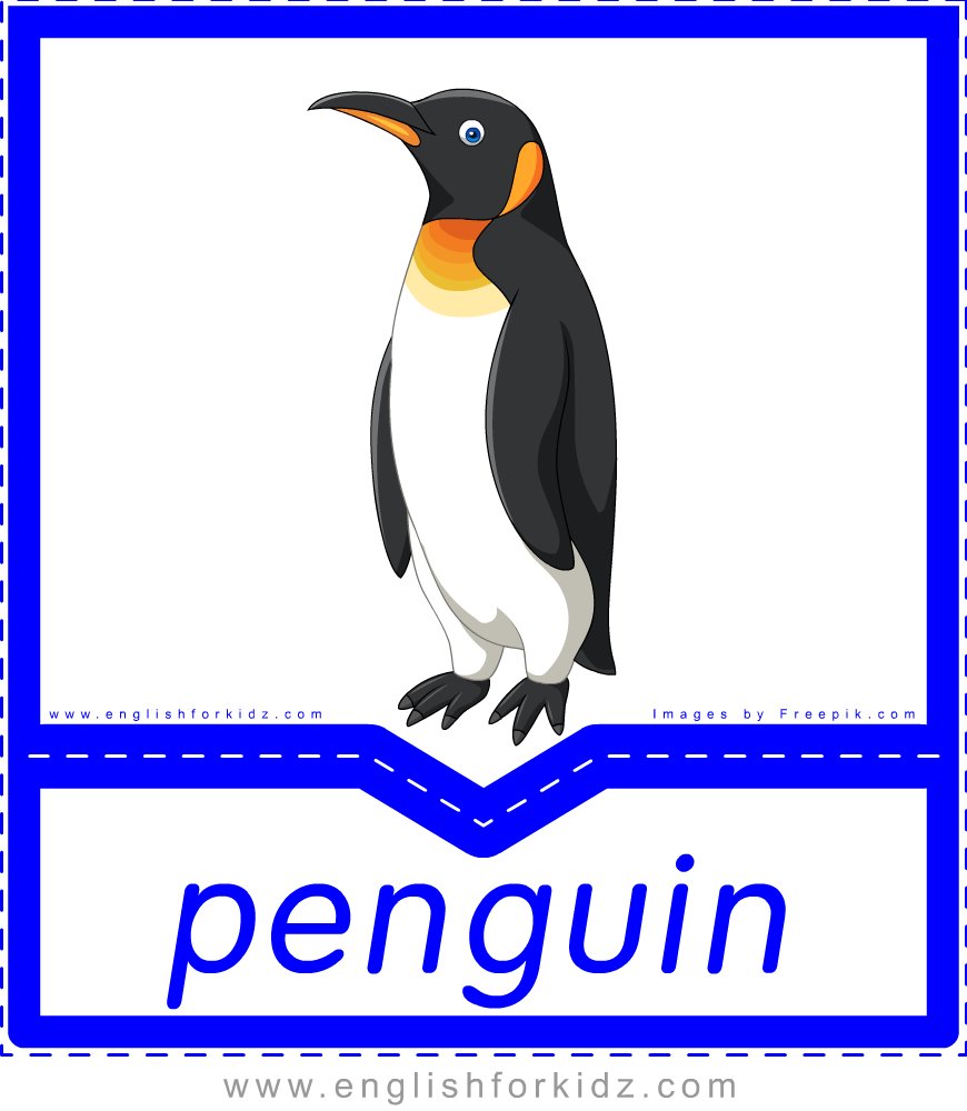 Printable Polar Animals Flashcards