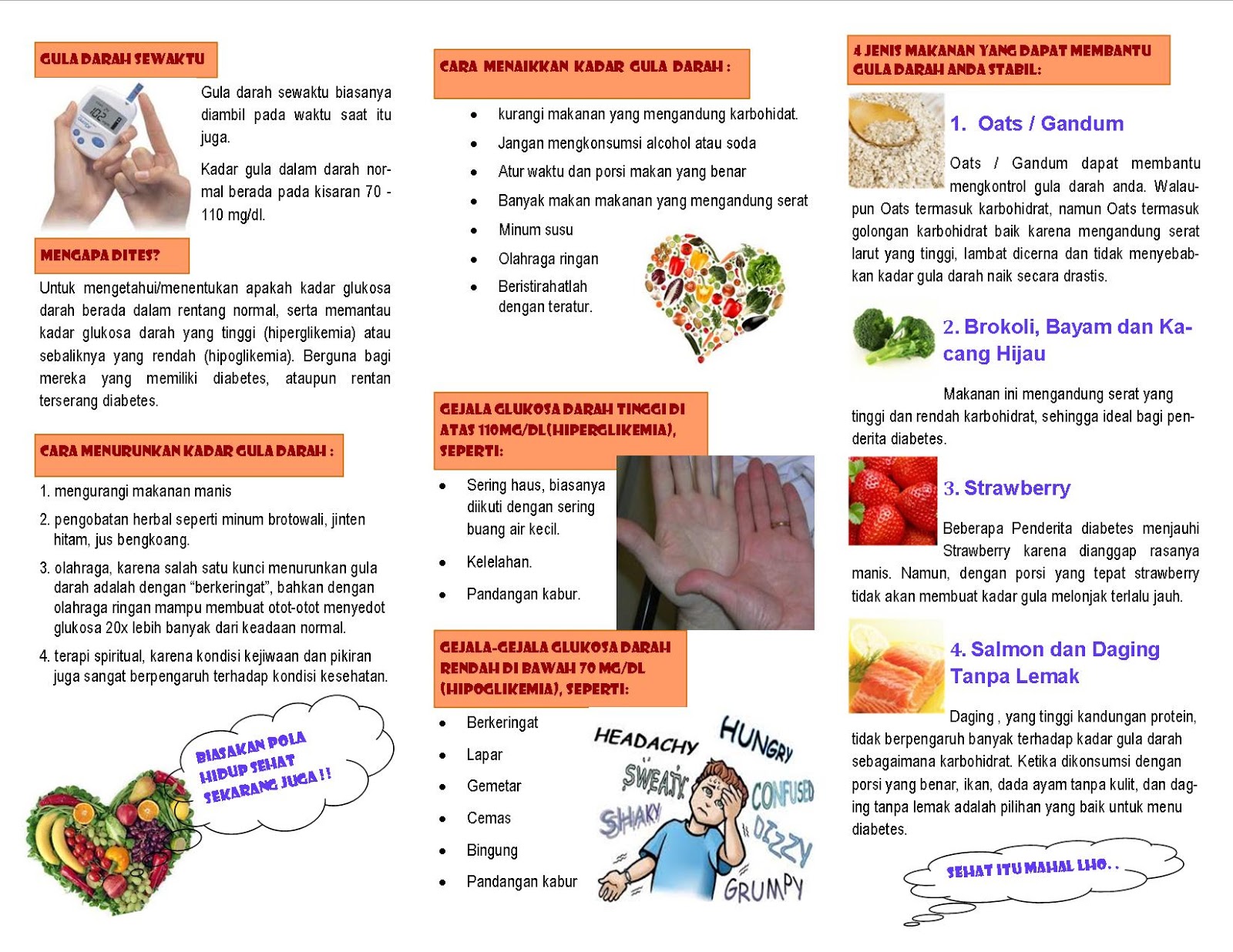 PM Info Channel: Contoh Leaflet GDS