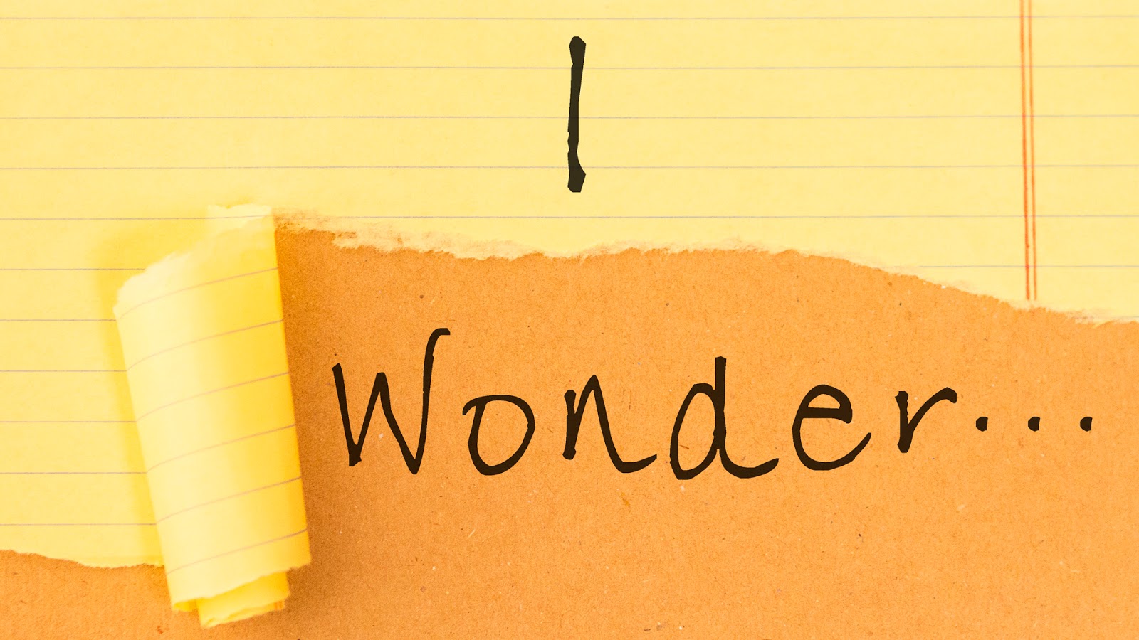 Grief Healing: Voices of Experience: Wonder