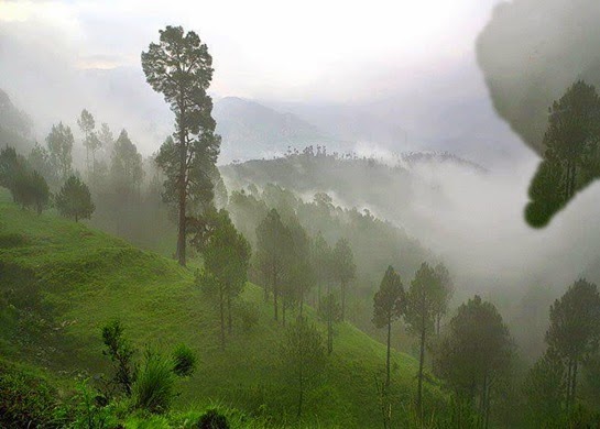 HD Wallpapers and HD Photos: Mountains View at Murree HD Wallpapers