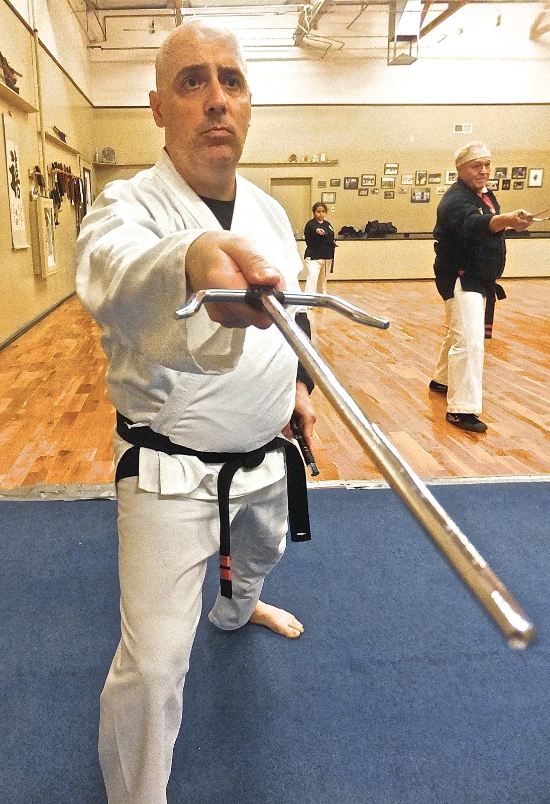 Sai-jutsu - Soke Hausel's Guide to Okinawa Kobudo