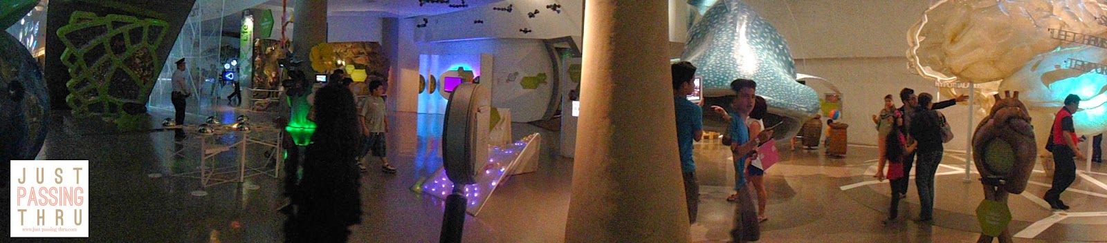 Just Passing Thru: The Mind Museum: Wide-Eyed Wanderer's Exploration