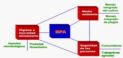 PRODUCCIÓN BAJO CONDICIONES CONTROLADAS: BPA´S Y BPM´S EN PROGRAMAS ...