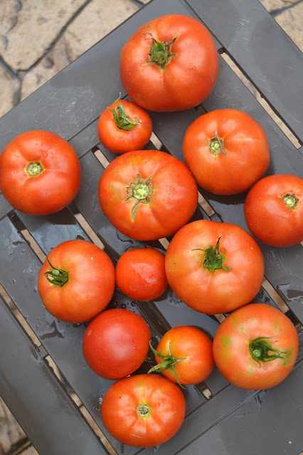 Homemade Tomato Sauce | The Nutritionist Reviews