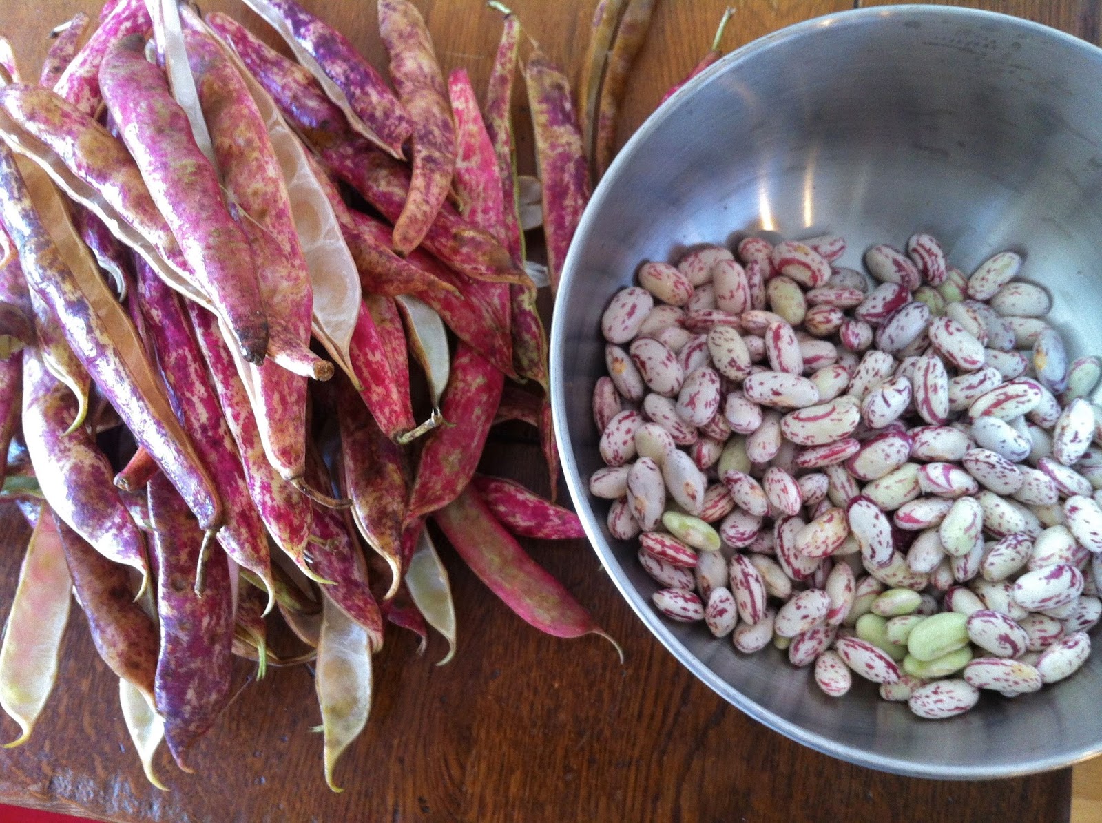 Brooklynguy's Wine and Food Blog: Late Summer Lunch - Shell Beans