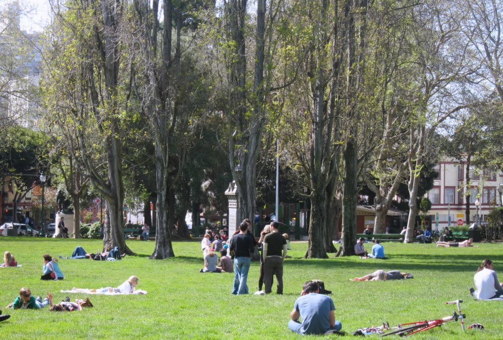 Jane Says: Walking to Coit Tower and the Parrots of Telegraph Hill